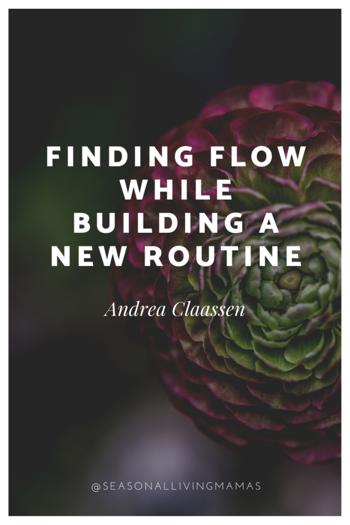 Finding Flow While Building a New Routine ⋆ Andrea Claassen