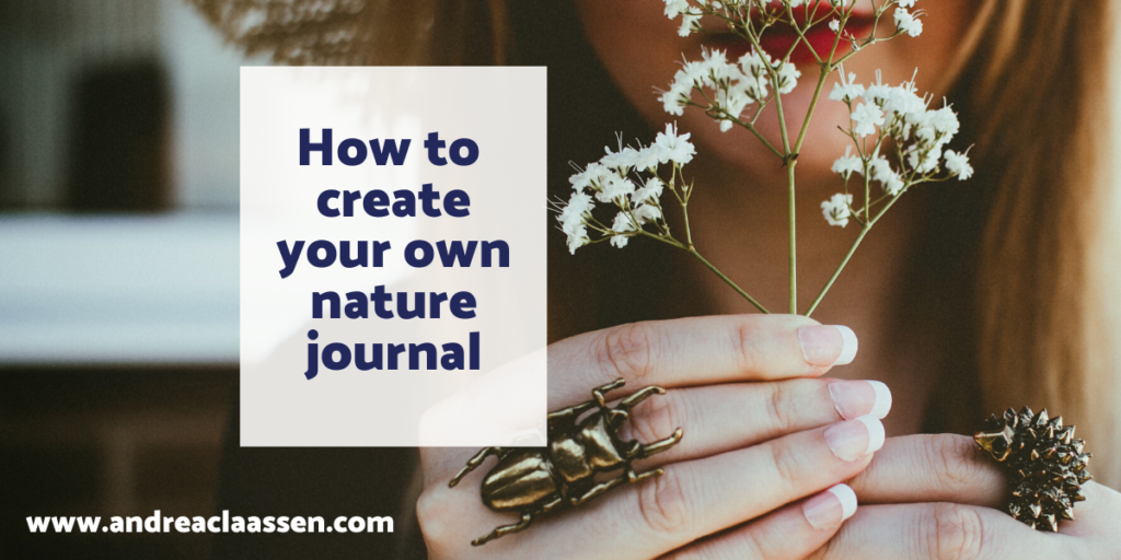 How to create your own nature journal ⋆ Andrea Claassen