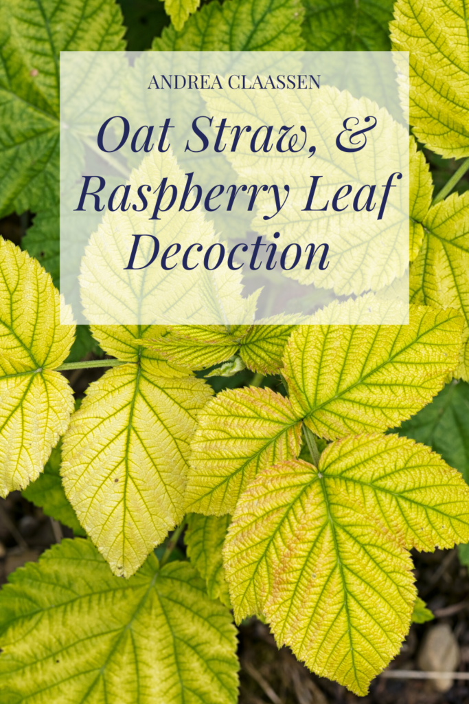 Oat Straw, & Raspberry Leaf Decoction ⁣⁣ ⋆ Andrea Claassen