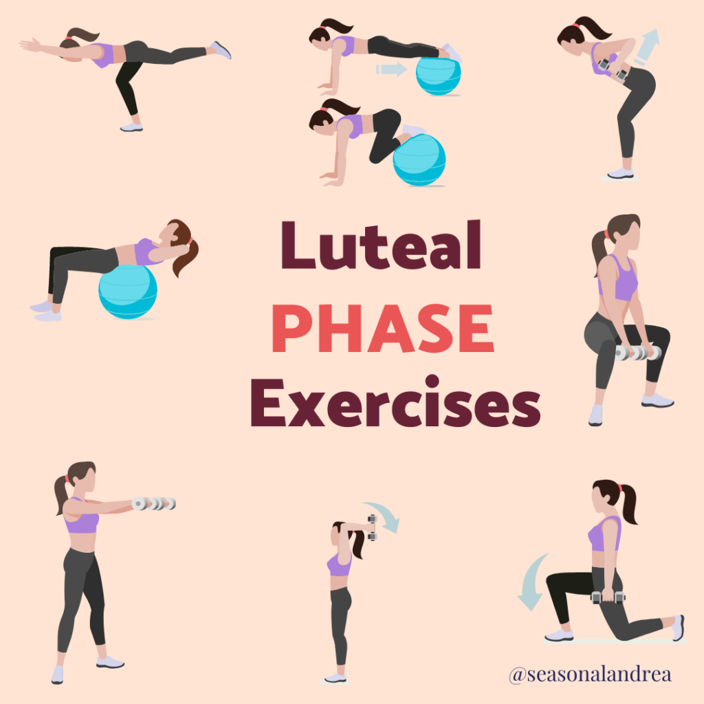 Workout with your cycle guide ⋆ Andrea Claassen