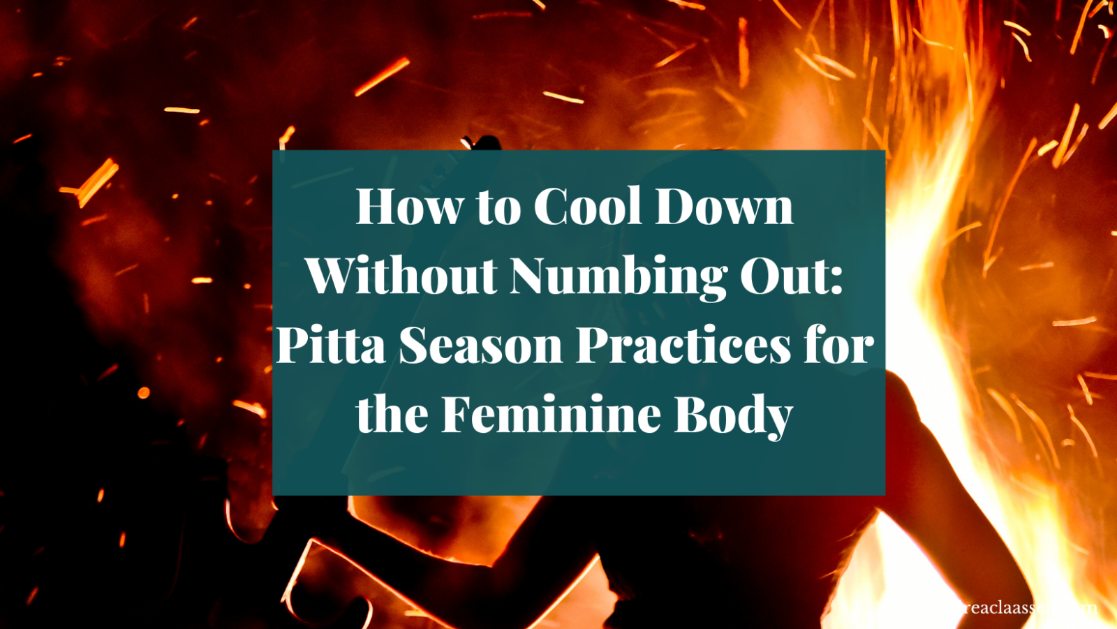 Seasonal Living Archives ⋆ Andrea Claassen